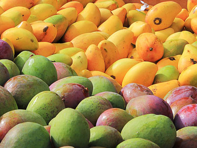 Roatan Honduras diving, cruise ship, eco-tourism destination